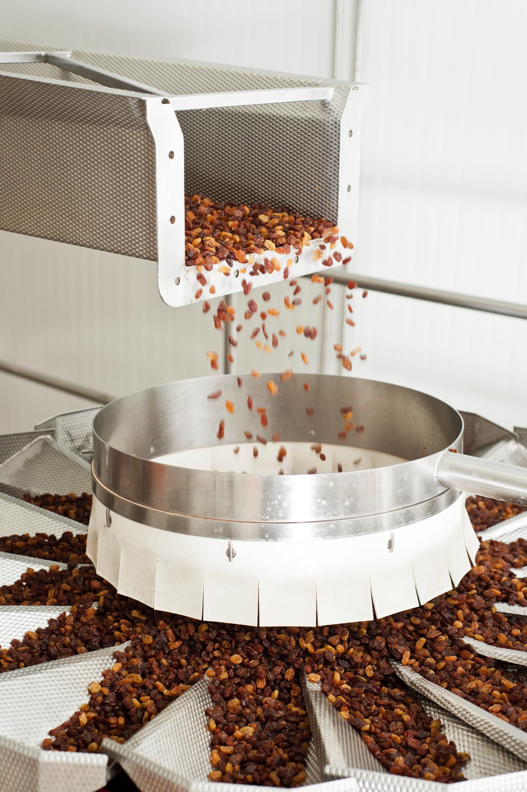 How Ceylon Dumbara Ensures Purity from Farm to Export - Ceilao Dumbara ...